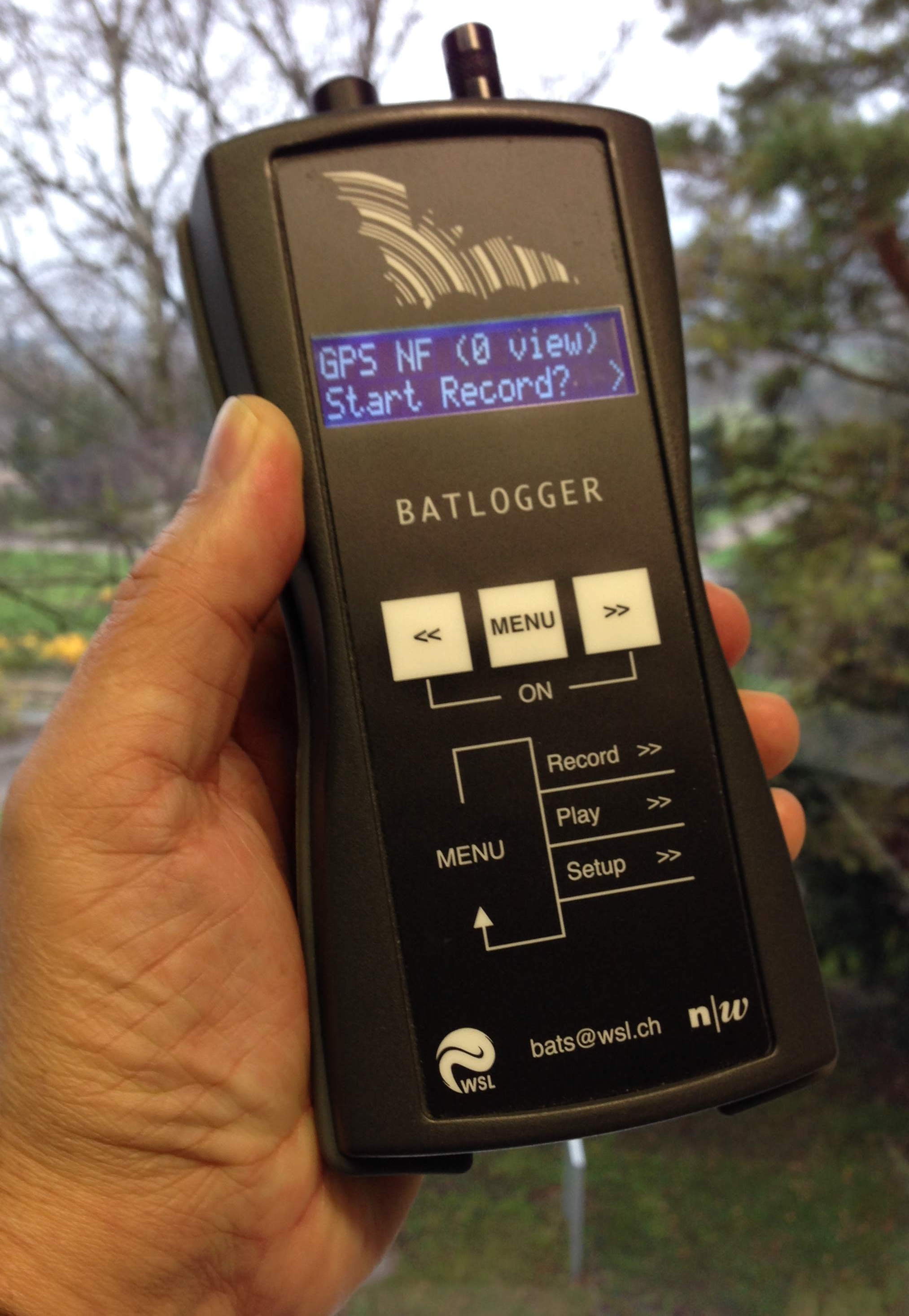 Können Menschen Fledermäuse hören? - WSL-Junior